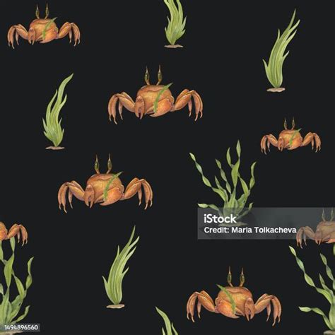 수채화 물감 갈색 만화 게의 매끄러운 패턴 검은 배경에 분리된 녹색 해초 디자인 배경 메뉴 벽지 패브릭 포장을 위한 손으로 그린
