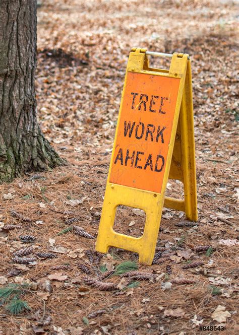 Tree Work Ahead Sign Stock Photo Crushpixel