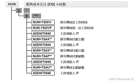 Sap Hcm Schema 规则记录 Csdn博客