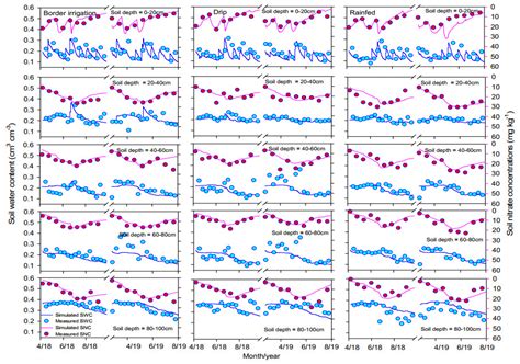 Modelling Effect Of Different Irrigation Methods On Spring Maize Yield Water And Nitrogen Use