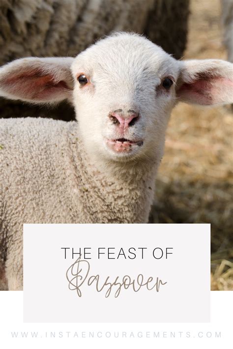 The Feast Of Passover Instaencouragements Building A Worldwide Online