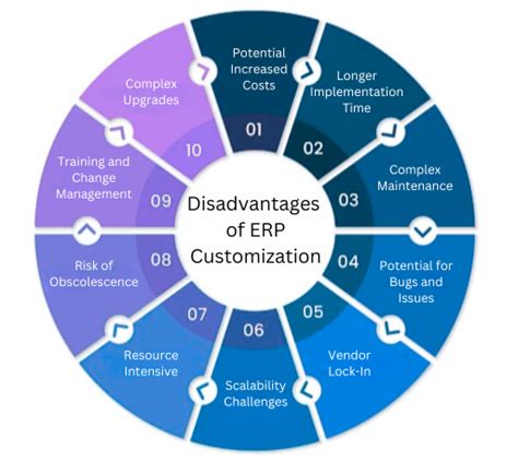 ERP Cusotmization Pros Cons Management Strategies