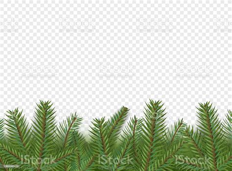 크리스마스 벡터 장식입니다 상록 소나무와 국경 지점에 고립 된 투명 한 배경 0명에 대한 스톡 벡터 아트 및 기타 이미지 0명 3차원 형태 계절 Istock