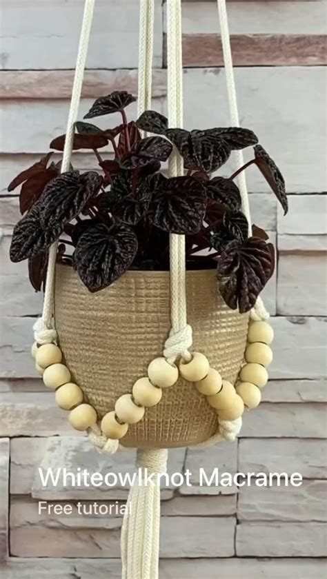 These Diy Macrame Planters Are Ideal For Total Noobs Artofit