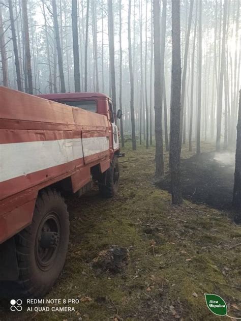 На Рівненщині чоловік ледь не спричинив масштабну лісову пожежу Інформаційний Потік
