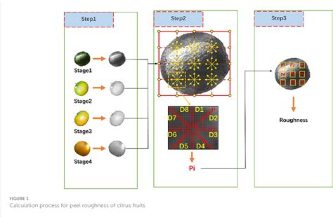 Figure 1 From Fusion Of Fruit Image Processing And Deep Learning A
