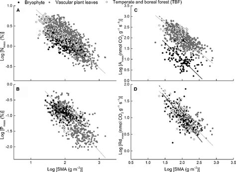 Comparison Of The Log Log Plots Of Shoot Mass Per Area Sma With Download Scientific Diagram