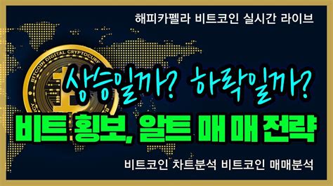 비트코인 실시간 비트 횡보 중 알트 매매전략 상승 하락 11월 7일 점심💎 비트코인 비트코인실시간 이더리움 리플 도지코인 차트분석 Youtube