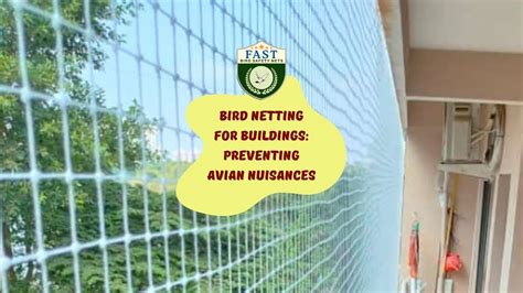 Bird Netting For Buildings Preventing Avian Nuisances Fast Safety