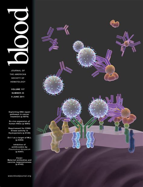 Integrin β7 Mediated Regulation Of Multiple Myeloma Cell Adhesion