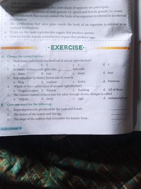 In Binary Fission A Cell Splits Into New Cells Filo
