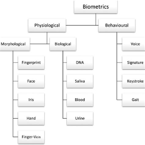 Flowchart Of Multimodal Biometrics Download Scientific Diagram