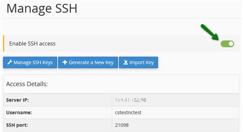 How To Enable Ssh Shell In Cpanel Hosting