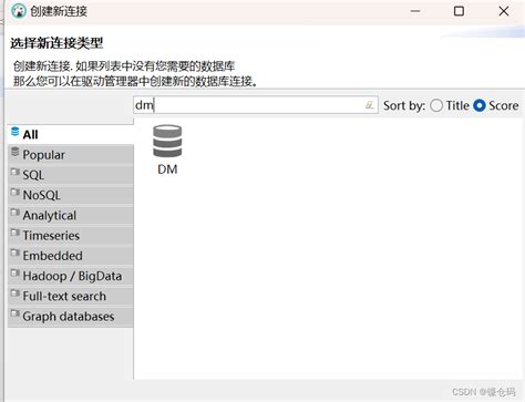连接达梦数据库的工具 dbeaver 达梦连接工具 csdn博客