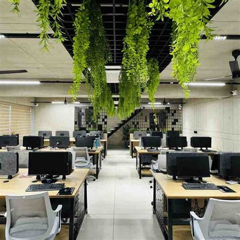 Career Prodev Infotech