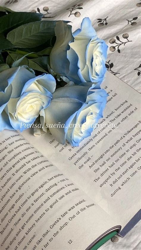 Pin Di Adriana E 🩵 Su Azúl 🩵 Mazzo Di Rose Sfondi Iphone Sfondi