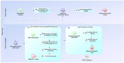 Recent Mock Recall Process Model Download Scientific Diagram