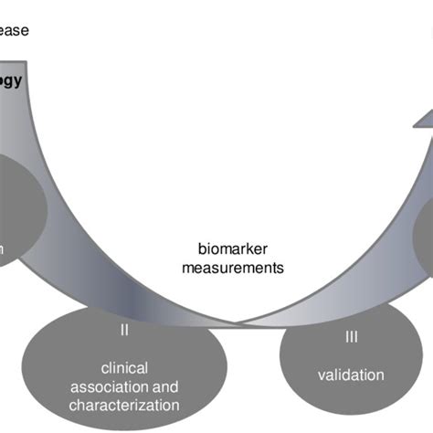 Biomarker Discovery And Validation Spectrum Download Scientific Diagram