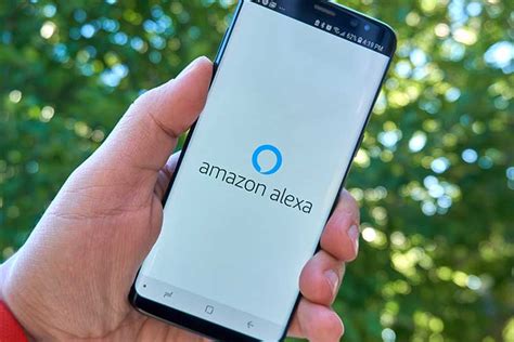 Amazon Alexa Mit Wlan Verbinden So Funktioniert S