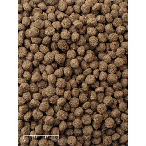 Camel Feed Camel Trainer Feed Exporter From Jamnagar