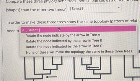 Solved Compare These Three Phylogenetic Trees Which One Chegg Com