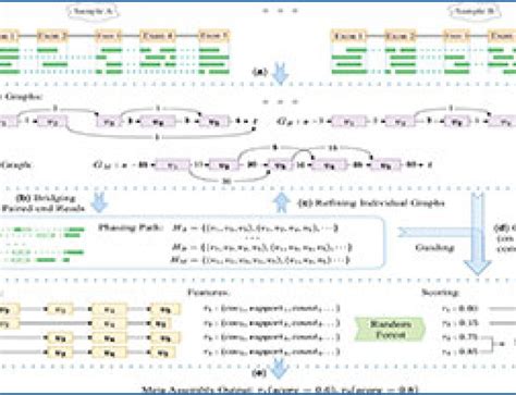 Stringtie Improved Reconstruction Of A Transcriptome From Rna Seq