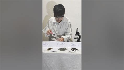 ნიადაგი ნაწილი 3 Youtube