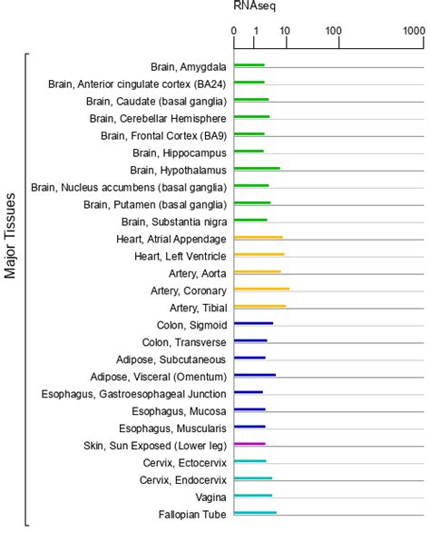 Calca Gene Genecards Calc Protein Calc Antibody
