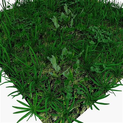 Grass 04 C4d