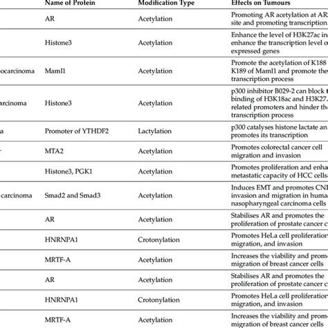 Summary Of Common Posttranslational Modification Types Modification Download Scientific