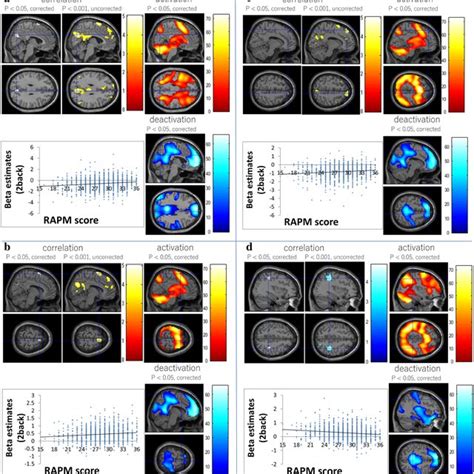 Association Between Brain Activity During The Working Memory Task And Download Scientific