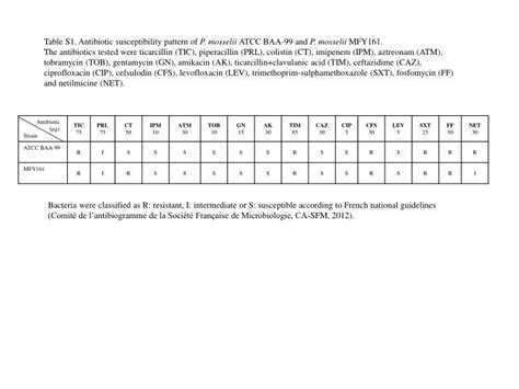PPT PowerPoint Presentation Free Download ID