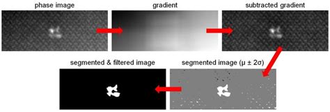 Sizing Of A CFRP Impact Damage J In A Phase Image Hz From Download Scientific
