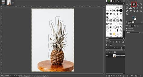 All The Best Ways To Crop In Gimp Step By Step Guide