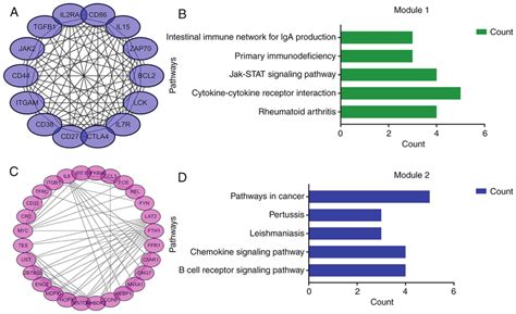 Top 2 Modules From The Protein Protein Interaction Network Analysis