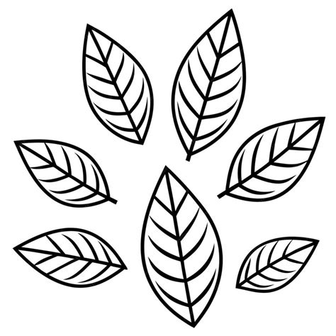Premium Vector Lovely Coloring Pages Of Leaves