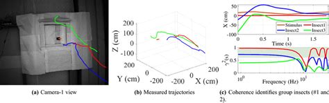 Segmentation Of Group Insects By Coherence A Three Insect Flight Download Scientific Diagram