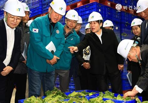 농림축산식품부 설 성수기 배추·무 시장 공급 확대 이상무