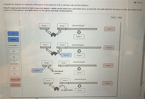 Solved A Bacterial Operon Is Responsible For The Production