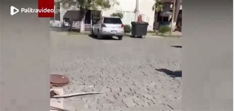 ვრცელდება უჩვეულო ვიდეო რა კადრები გადაიღო მოქალაქემ პალიტრა ვიდეო