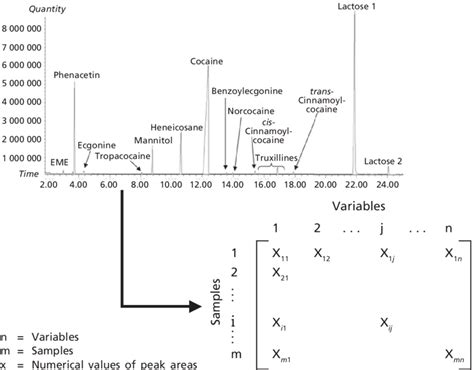 Extraction Of Data On Profiling Variables Download Scientific Diagram
