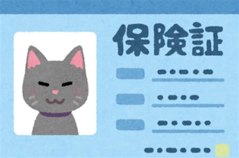 国民健康保険証と資格確認書｜ニャンコせんせいのブログ｜それなりに みんカラ