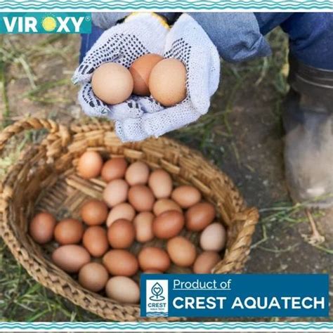 Viroxy Clo2 Tablets Egg Cleaning And Feed Sanitation For Surface Disinfectant At ₹ 32 Piece In