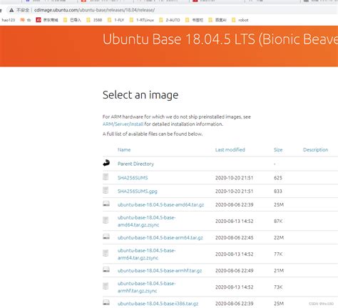 Rk35xx定制 Ubuntu18 根文件系统rk3568 制作ubuntu2004文件系统 Csdn博客