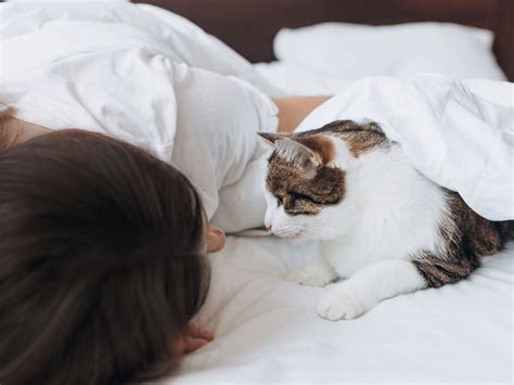 고양이와 함께 먹고 자고 놀고 배웁니다 텀블벅 크리에이터를 위한 크라우드펀딩