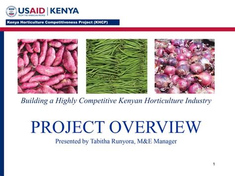 Usaid Khcp Activities Presentation Pdf