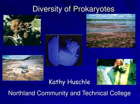 PPT Diversity Of Prokaryotes PowerPoint Presentation Free Download ID 483823