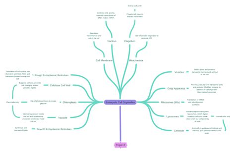 Topic 2 Coggle Diagram
