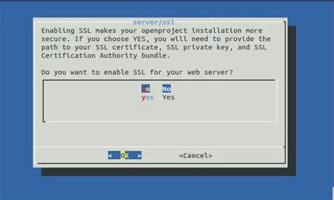 How To Install OpenProject On Ubuntu