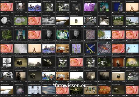 Fotos Finden Schnell Und Einfach 2025 Fotowissen